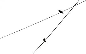 Distribusi Uniform: Serba-Serbi Distribusi - Exsight